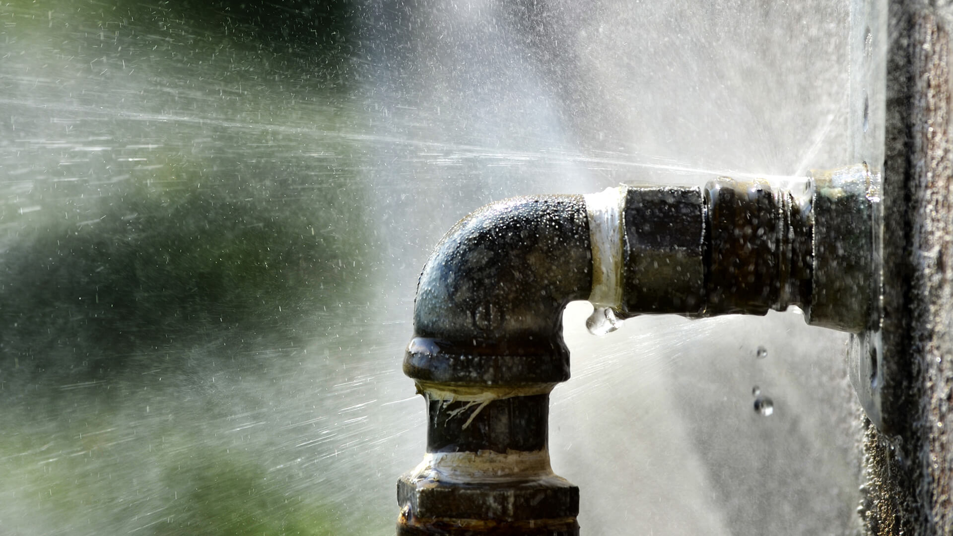 Water Line Replacement and Installation | Premium Plumbing & Rooter Service